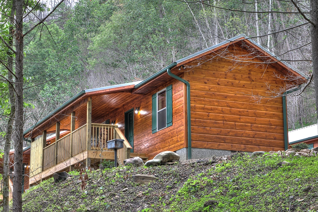 4- Animal House 1 Bedroom Cabin At Parkside Cabin Rentals