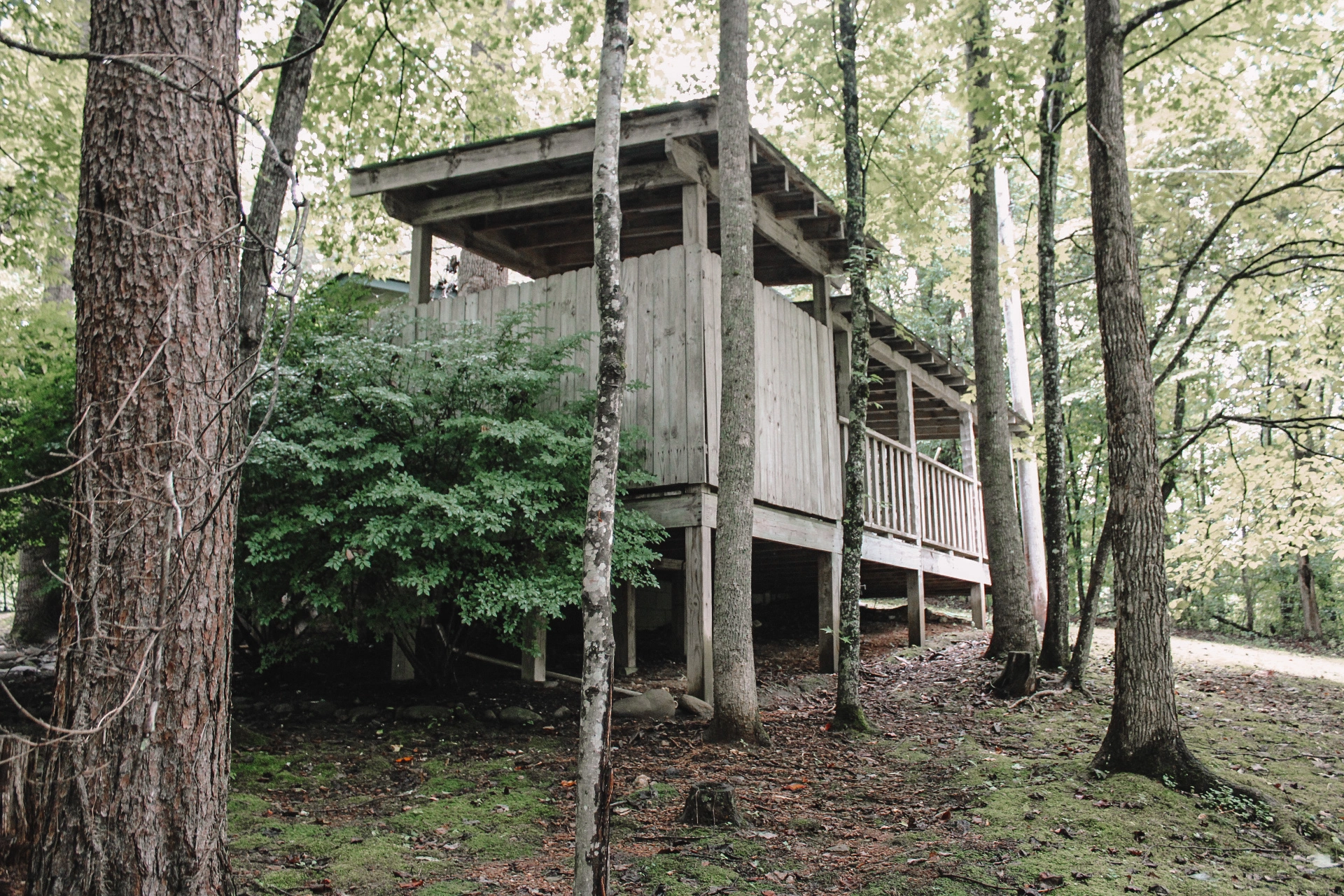Cub's Den 1 Bedroom Cabin At Parkside Cabin Rentals