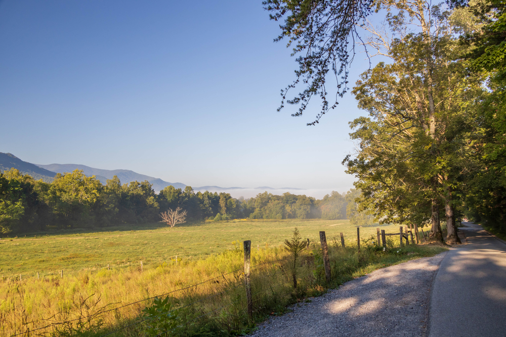 Top 6 Things to Do in Cades Cove
