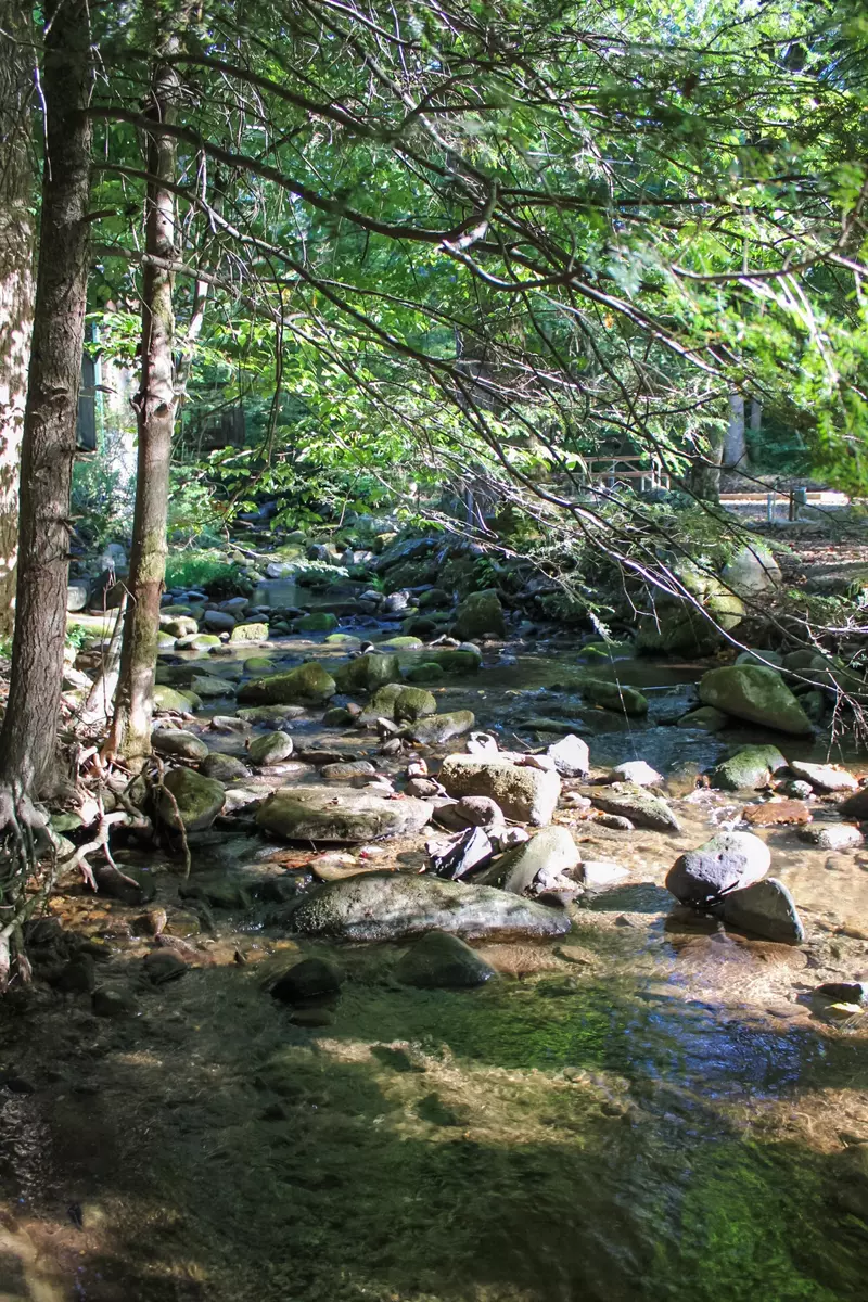 Creekside 2 Bedroom Cabin At Parkside Cabin Rentals